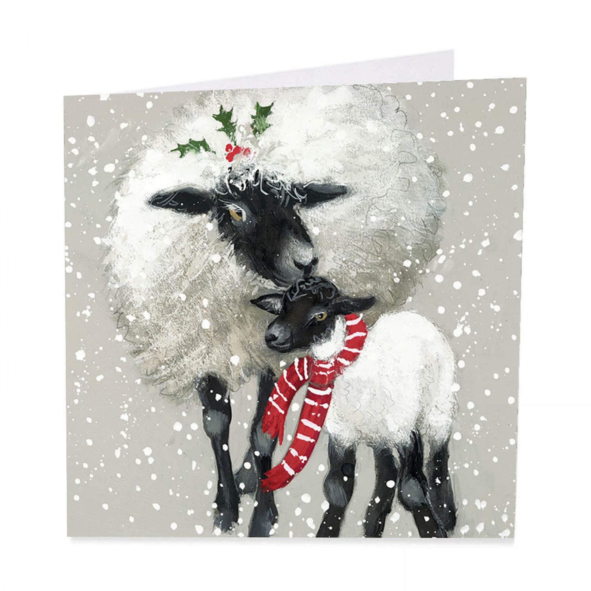 Sheep Christmas Cards - Dressed for Winter - Pack of 6 ...